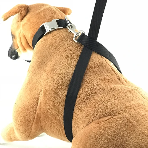 Control Leash: Instantly Stop Pulling