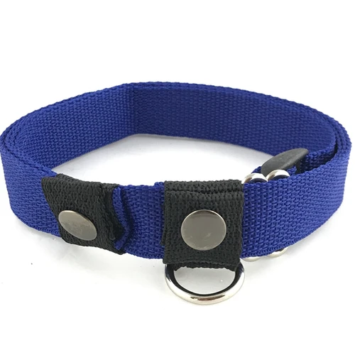 Control Leash: Instantly Stop Pulling