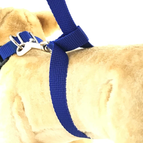 Control Leash: Instantly Stop Pulling