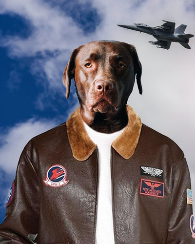 Top Gun Portrait | The Printed Pet