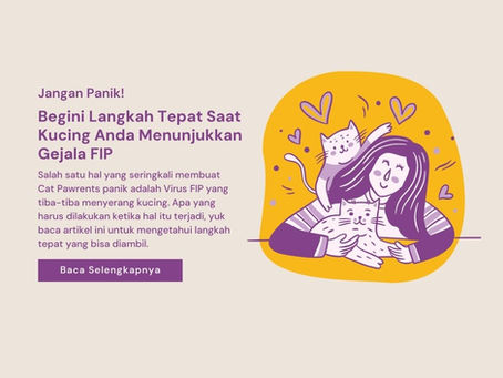 Apa itu FIP Kucing | Gejala FIP Kucing | Penyakit FIP Kucing | Basmi ...