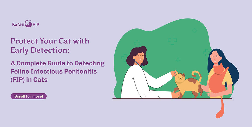 How to Identify Feline Infectious Peritonitis (FIP) in Cats