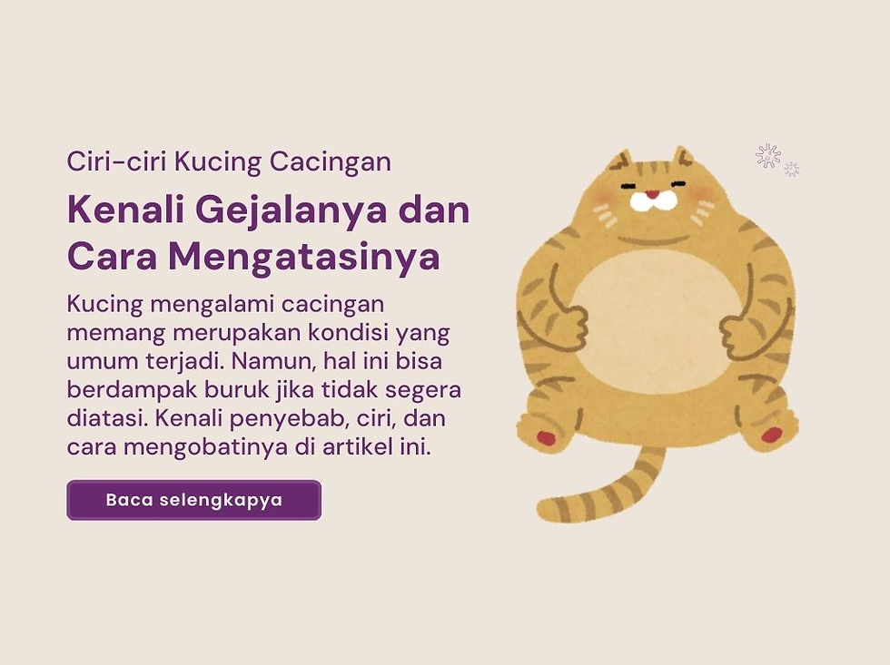 Ciri-ciri Kucing Cacingan dan Cara Mengatasinya