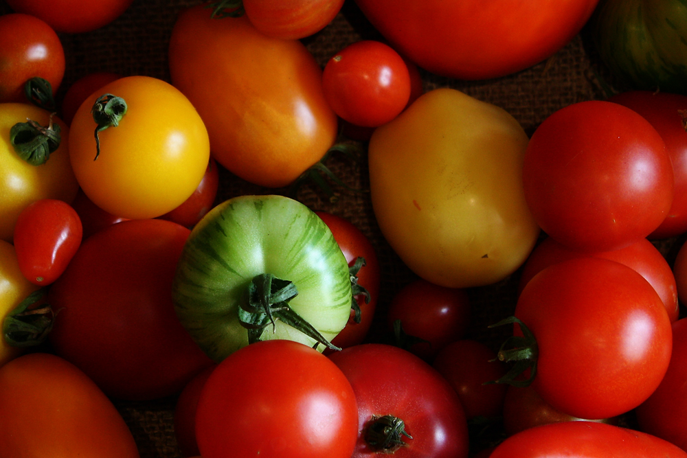 National CSA Week 2025: Learn About & Participate in Community ...