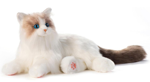 Percy Kitten 1.1 (Ragdoll) | RoboPets