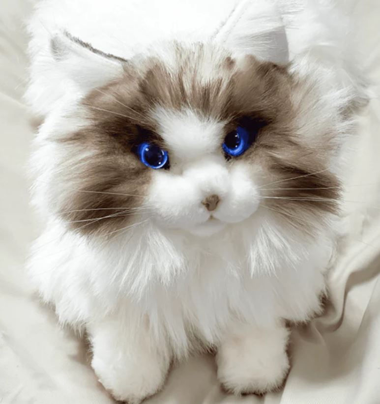 Metacat 2.0 Ragdoll Cat | RoboPets