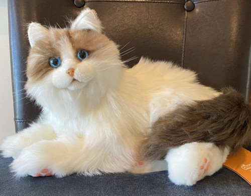 Percy Kitten 1.1 (Ragdoll) | RoboPets