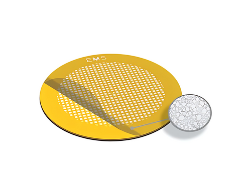 Holey Carbon Film 300 Mesh, Au, 50 Micron | RYTSLABS