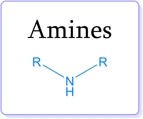 Amines Study Guide - 2nd Edition | Orgo Chemistry Tutor