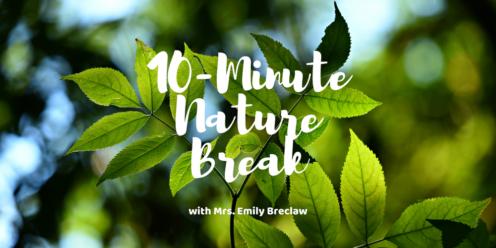 Friday, May 1 - Nature Break