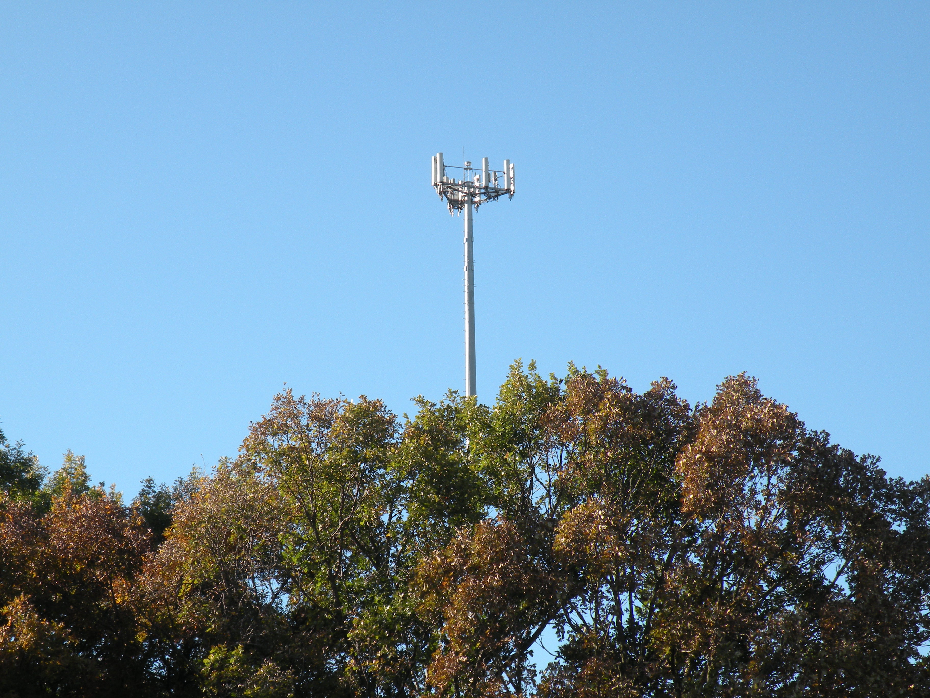 Services: Meridian Blue Construction, Cell Tower Construction MN