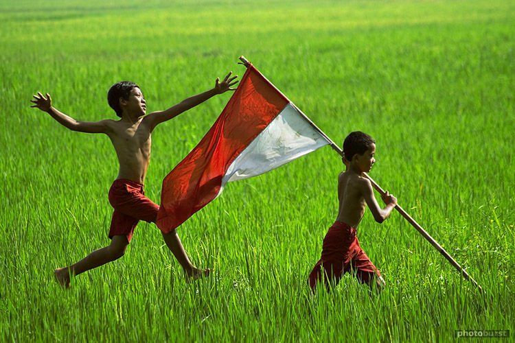 Inilah 5 Alasan Indonesia Menjadi Negara Agraris