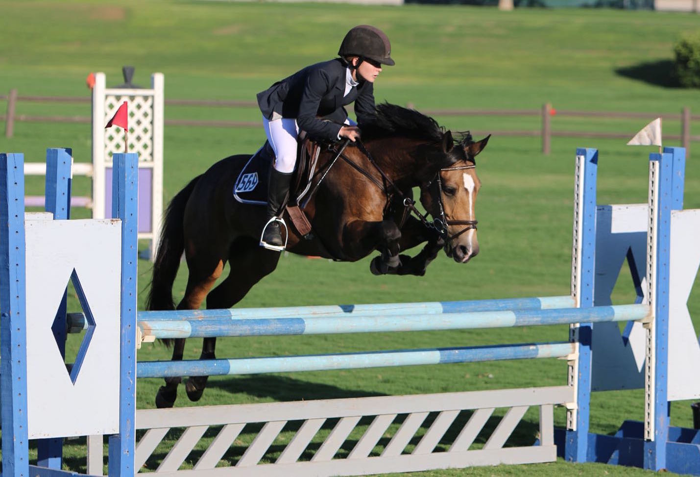 Horse riding lesson/training | Orange County | Pacific Star Equestrian