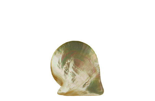 Pearl Meat Shell "PASPALEY" | gjfood