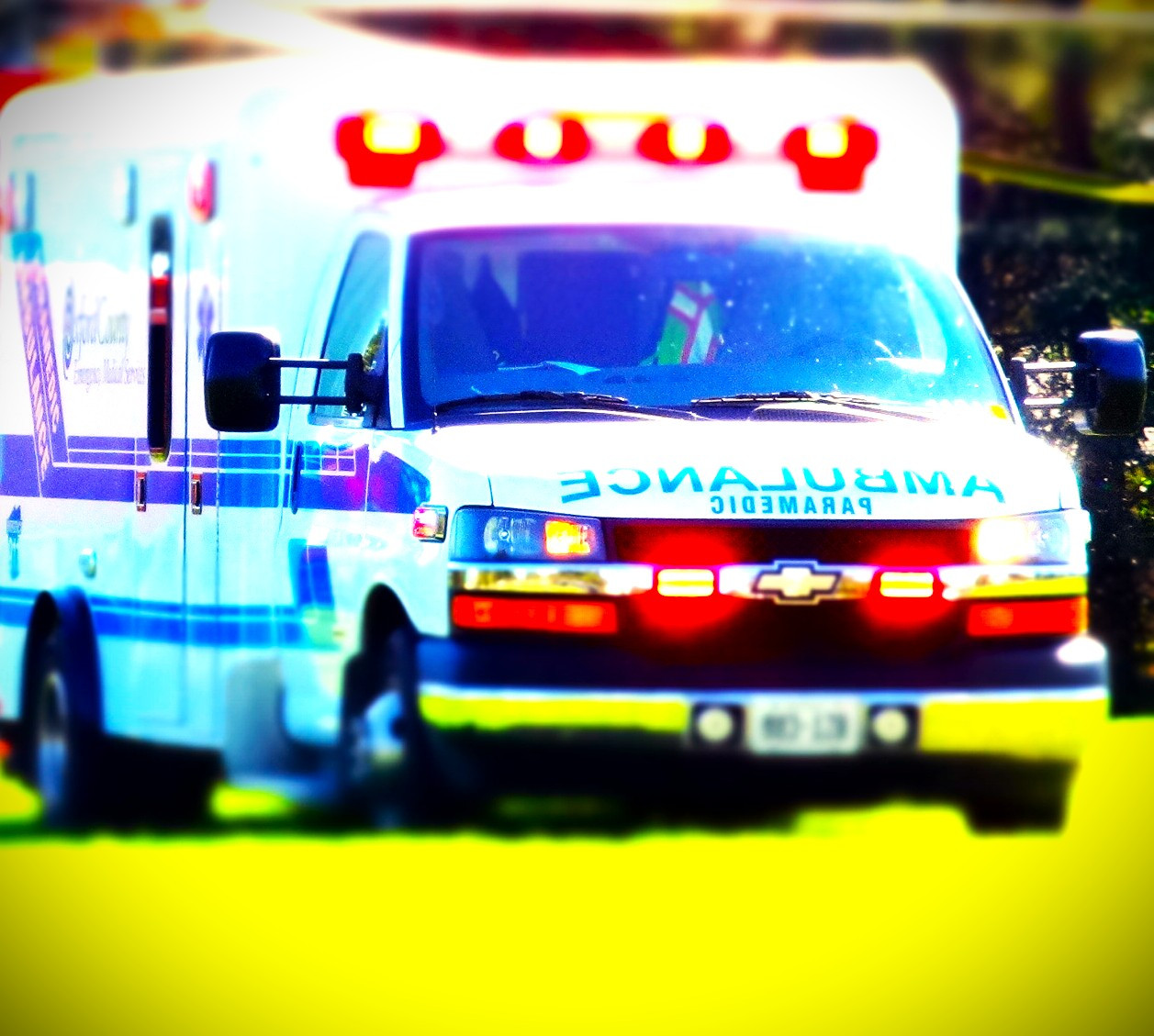 Bonnets overlapping; Introducing myself by DS Maolalai