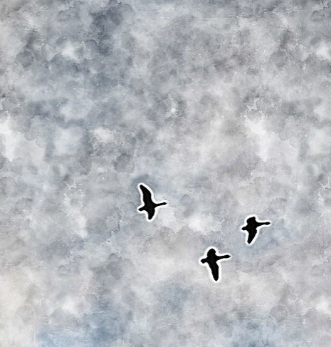 snowbirding by Natalye Childress