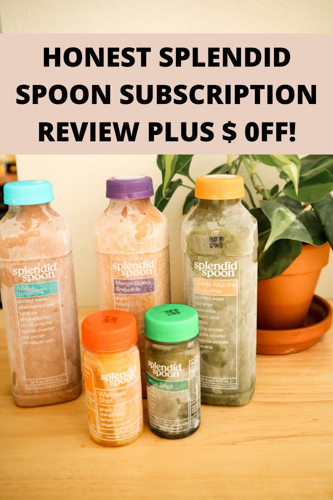 Honest Splendid Spoon Review: What You Need to Know Plus 25$ off!