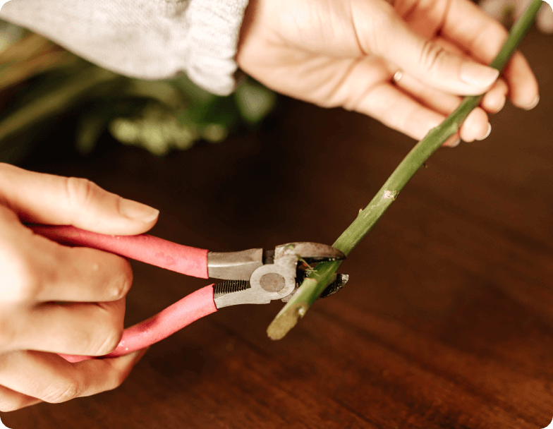 Shipping | Preservations At Wil