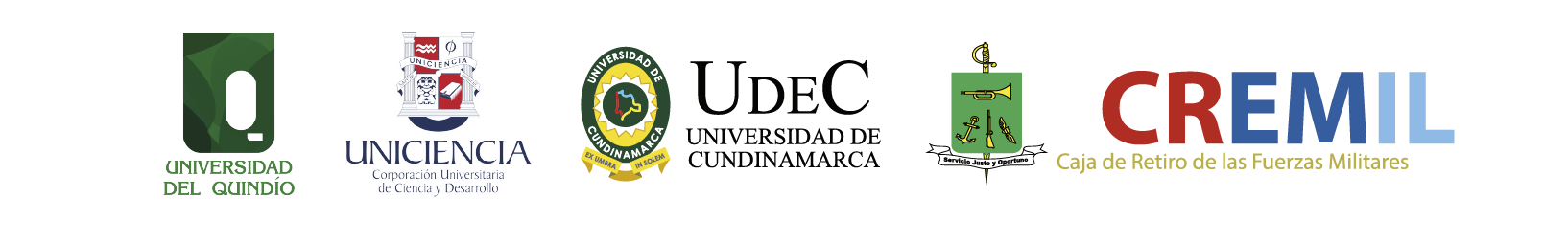 Indesco S.A.S | Consultoria | Ingeniería | Interventoría