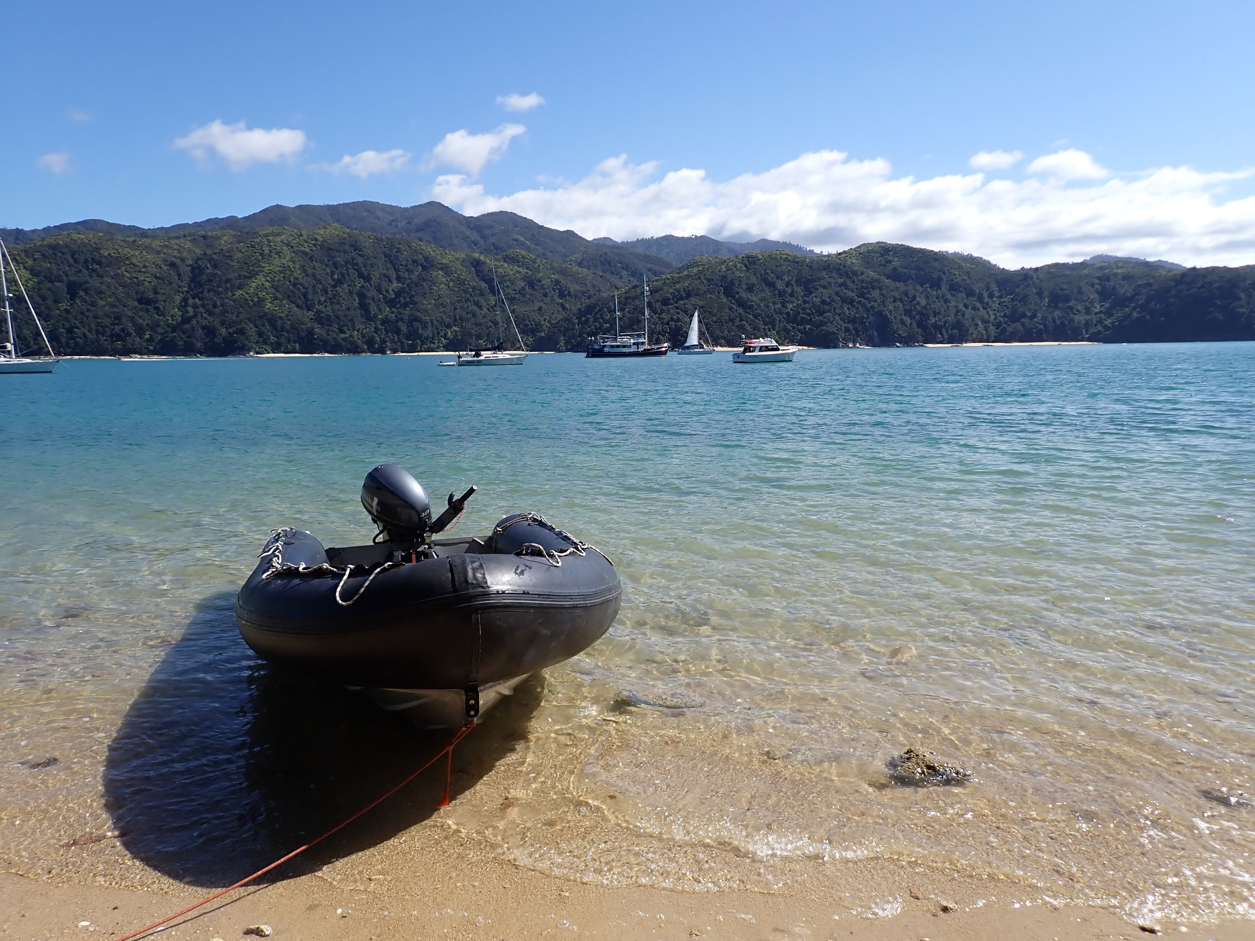 Abel Tasman & Marlborough Photo Gallery of Strannik Ocean Voyages