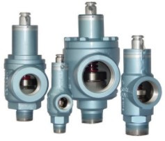 306830-125 CRN Safety Relief Valve | BOSS365