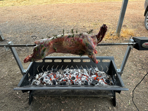 Ultimate Xtreme with 240v Rotisserie kit | TimberWolf Fires Au