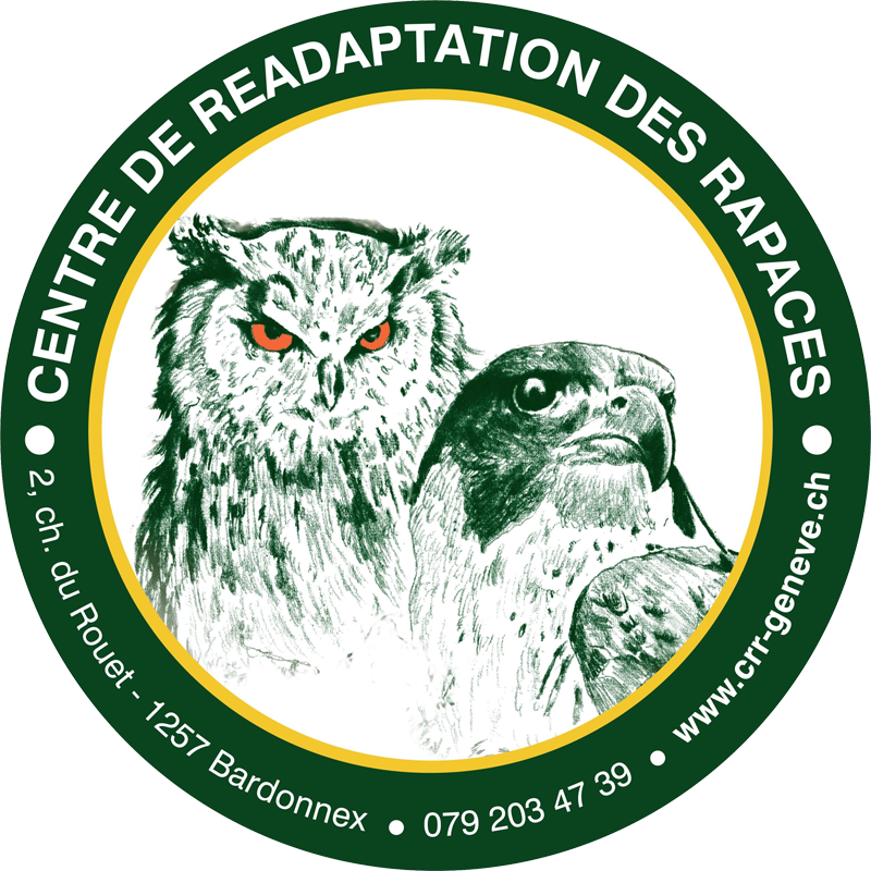 Logo Des Rapaces Png News | Ayama Segutel