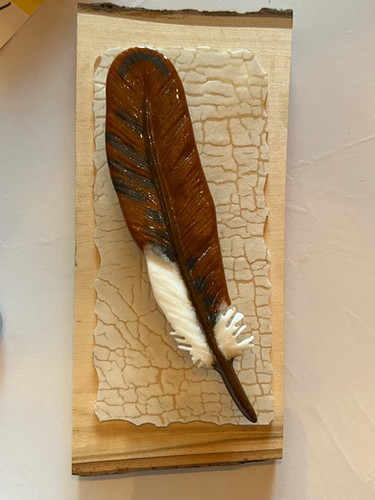 Red Tail Hawk Feather | blazingstararts