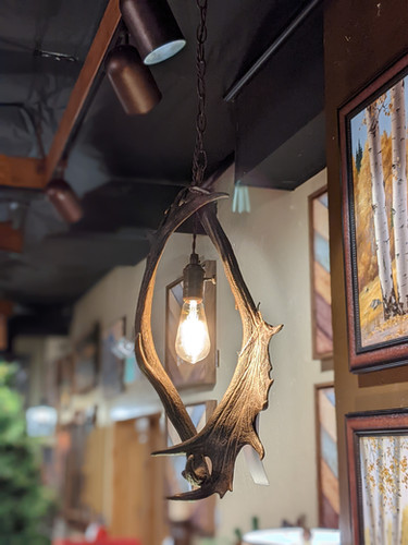 Modern Fallow Pendant Light | Tweeds