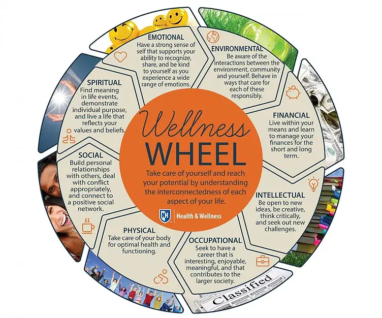 Wellness Wheel Activity