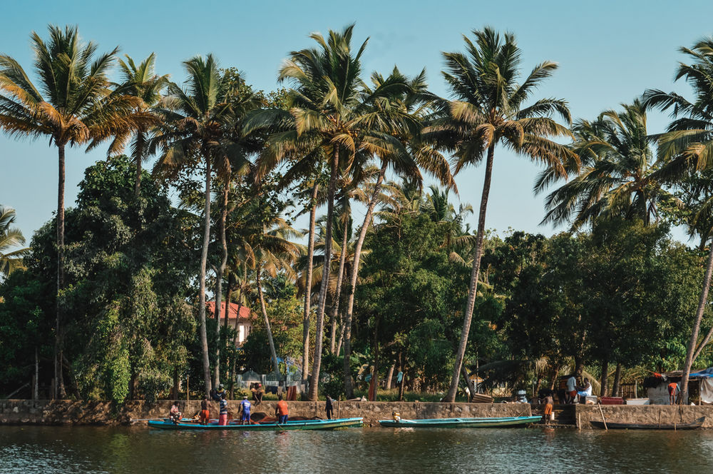 A Guide to Alappuzha & the Kerala Backwaters
