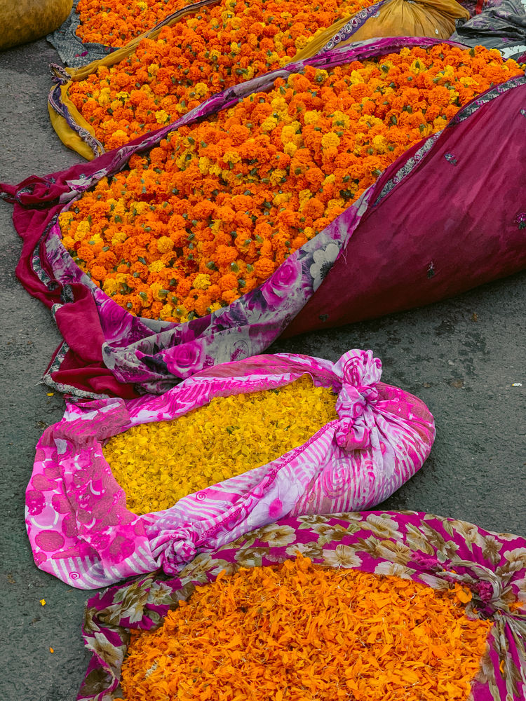 The Jaipur Wholesale Flower Market