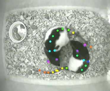 Anan Moran | The Taste and Cognition Lab