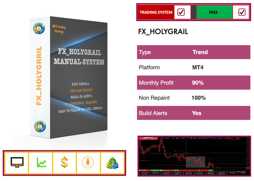 FX_Holygrail Manual System | FOREX41