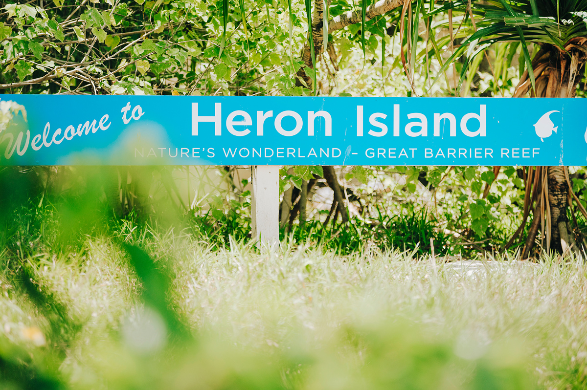 ALEX & DAN | HERON ISLAND, GREAT BARRIER REEF DESTINATION WEDDING