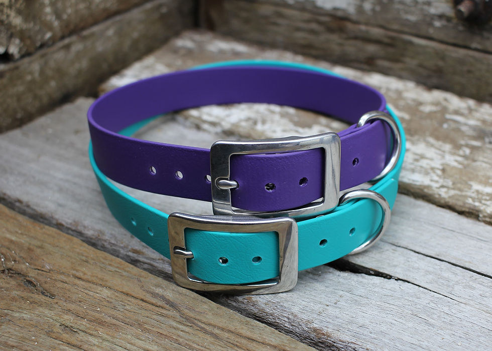 Biothane Dog Collars & Leads | NextGen Dog Collars Biothane Australia