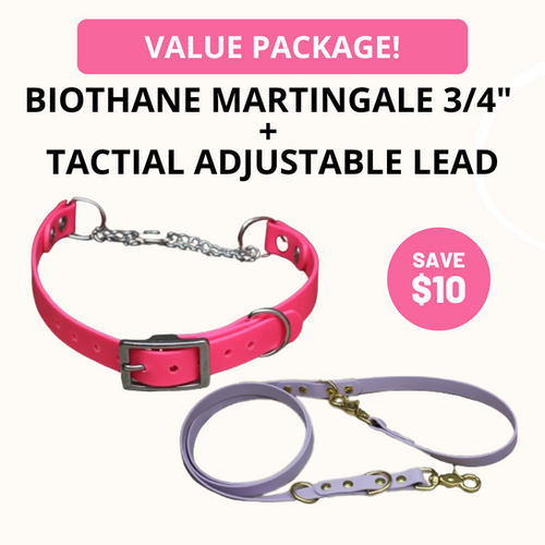 Biothane Martingale Collar + Tactical Dog Lead | Nextgen Dog Collars