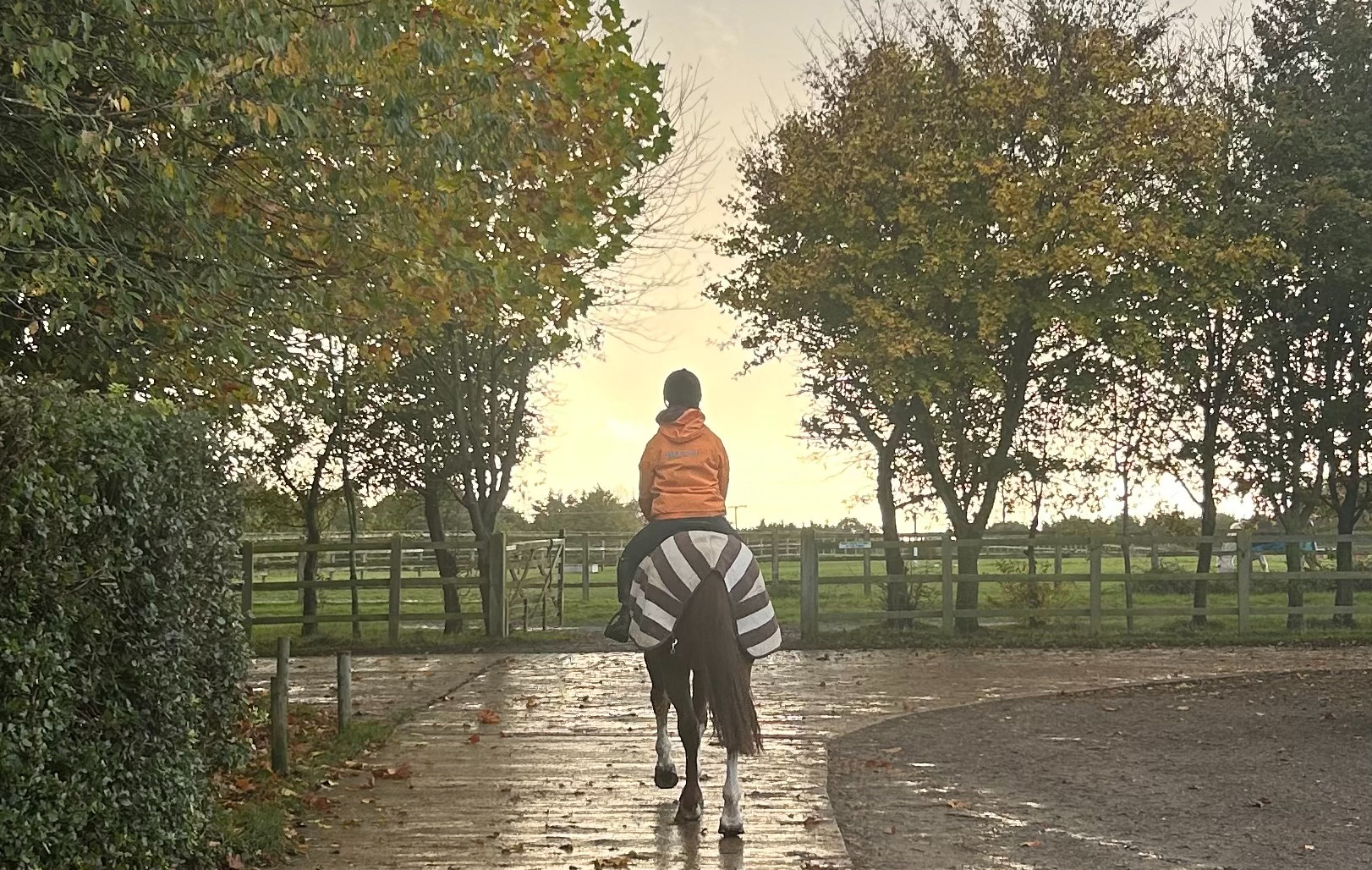 Foxley Court Livery | Equestrian Livery Yard Berkshire | Home