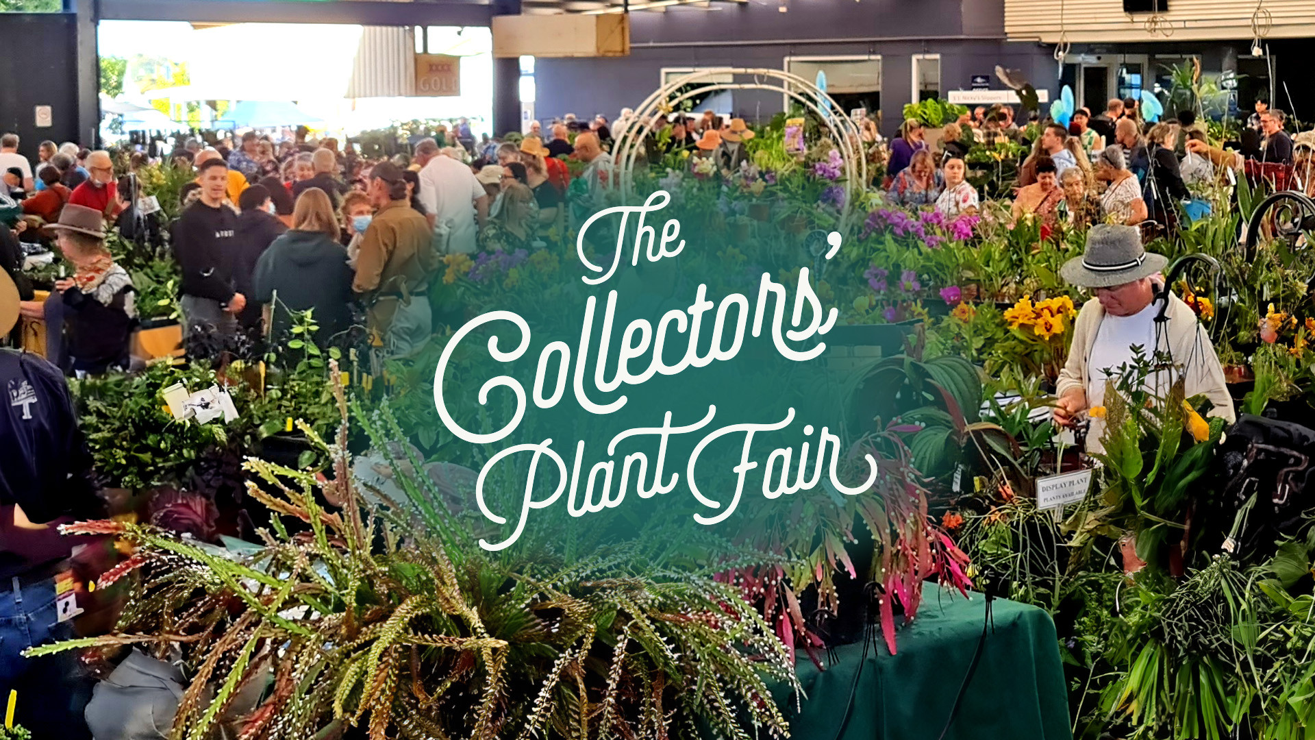 Collectors' Plant Fair Sydney and Maitland