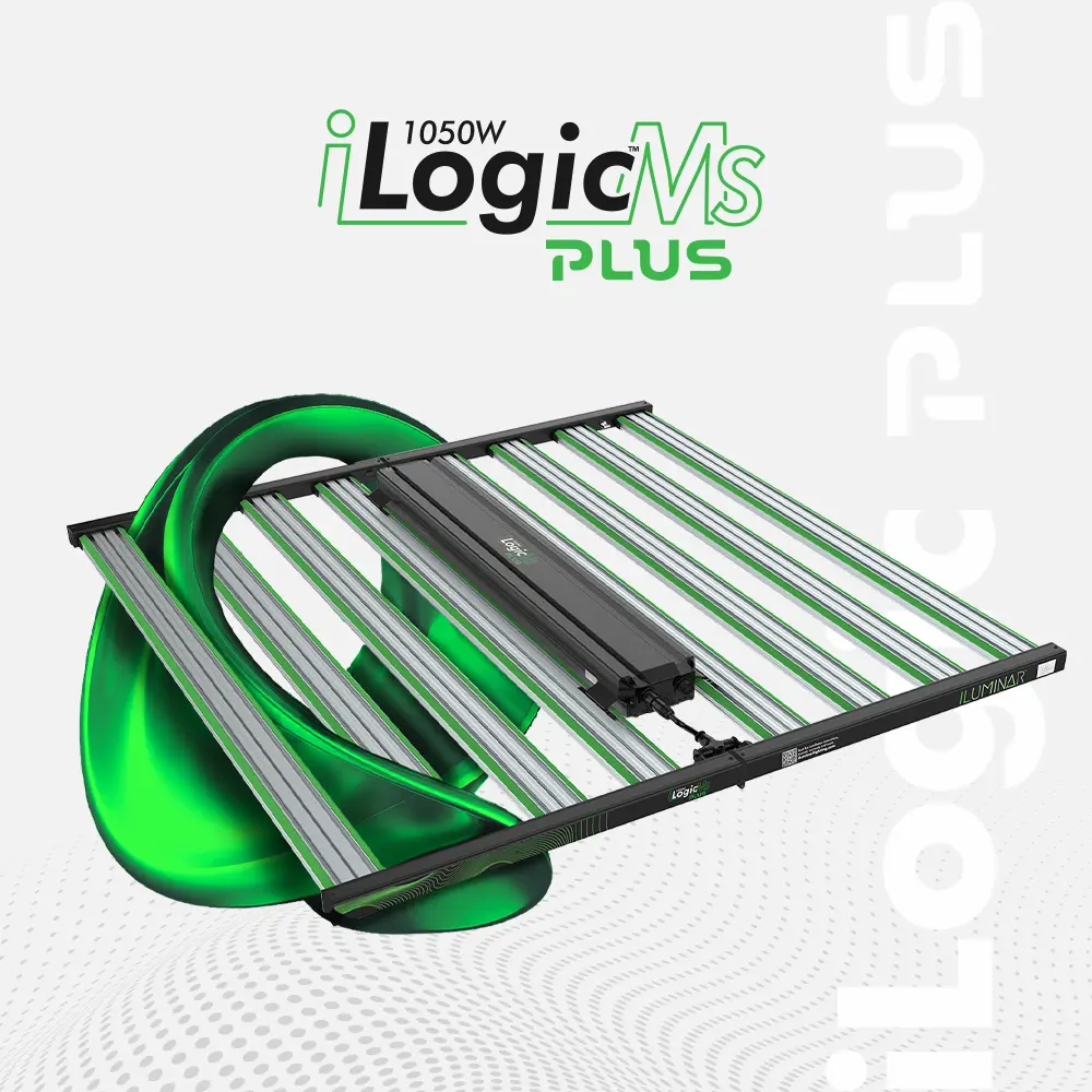 iLogic MS PLUS 1050W | Iluminar