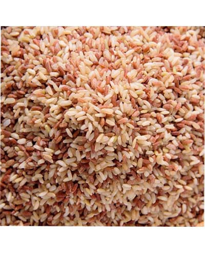 Organic Rajamudi Rice | ಸಾವಯವ ರಾಜಮುಡಿ ಅಕ್ಕಿ | Organic Rajamudi Akki ...