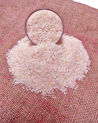 Organic Gamsale Rice | Organic Gandhasale Rice | ಸಾವಯವ ಗಂಧಸಾಲೆ ಅಕ್ಕಿ ...