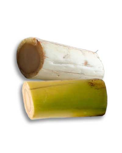 Organic Bale dindu |Organic Banana Stem | ಸಾವಯವ ಬಾಳೆ ದಿಂಡು 1Pc | Akkadi ...