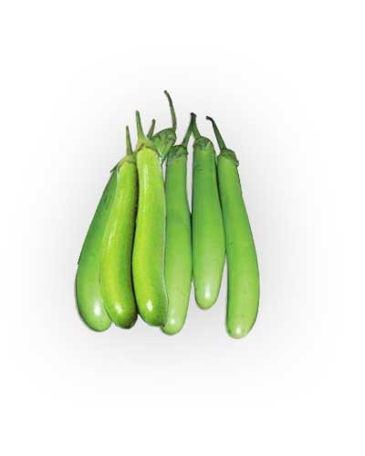 Organic Brinjal Long Green | Organic Udda Badane Hasiru | ಸಾವಯವ ಬದನೆ ...