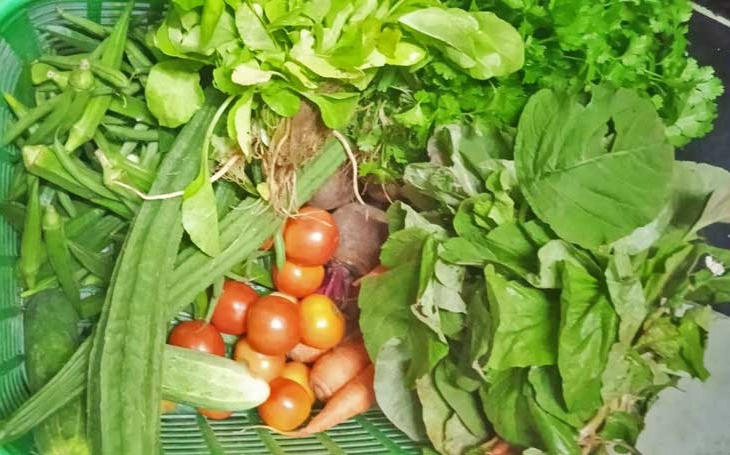Organic Vegetables & Fruits | Akkadi Roots