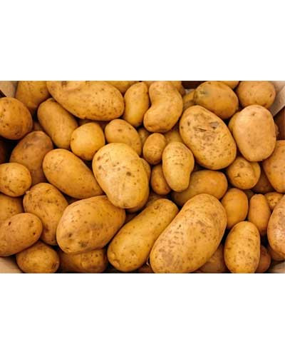 Organic Aloo | Organic Potato | Organic Alu Gadde | ಸಾವಯವ ಆಲೂಗಡ್ಡೆ ...