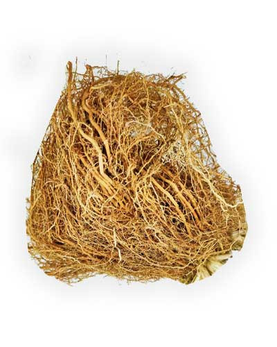 Vetiver Root | Lavancha Root | ಲಾವಂಚ ಬೇರು 1 Pack | Akkadi Roots
