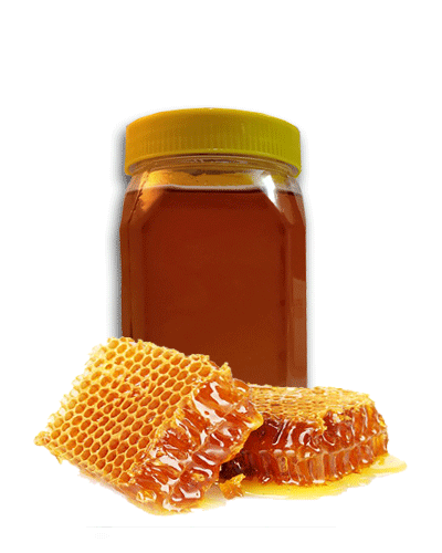 Natural Honey | Jenu Tuppa Pure | ಸಹಜ ಜೇನು ತುಪ್ಪ ಪರಿಶುದ್ಧ | Akkadi Roots