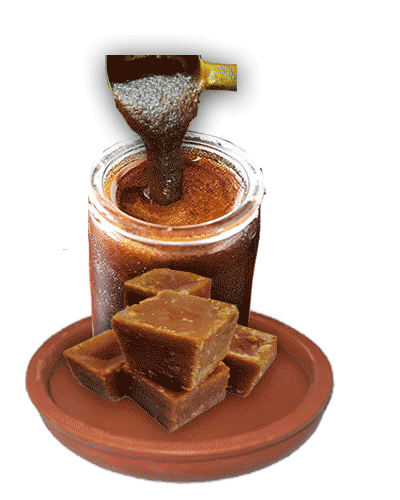 Organic Joni Bella Liquid Jaggery ಗಟ್ಟಿ ಜೋನಿ ಬೆಲ್ಲ 1kg | Akkadi Roots