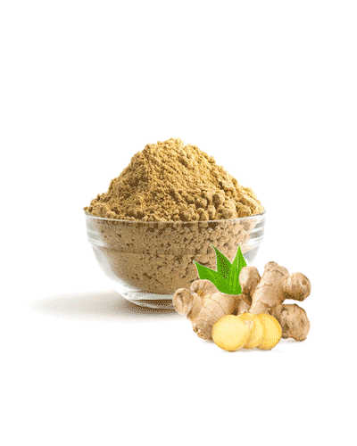 Organic Shunti Pudi | Organic Ginger Powder | ಸಾವಯವ ಶುಂಠಿ ಪುಡಿ 50gm ...